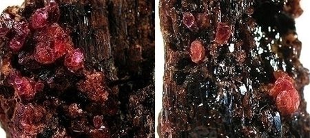 Amazon’s Virtual Assistant Alexa Says Painite Is the Rarest Gem Mineral ...