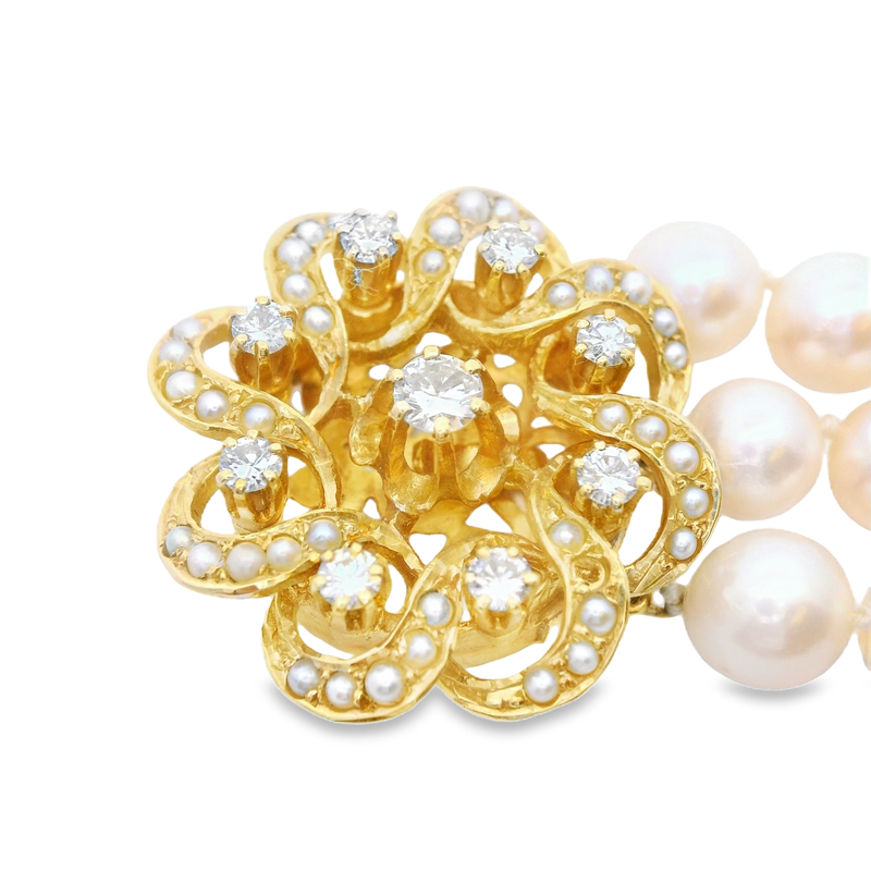 Northeastern Jewelry Signature Collection 14K YELLOW GOLD 6-6.5MM ...