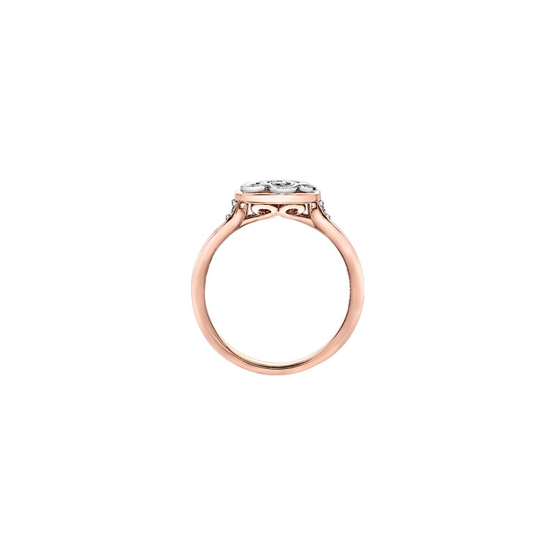 HJ Diamond Collection Enchanted Window Canadian Diamond Ring 52D87RW/10 ...