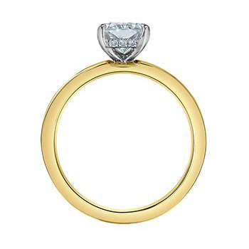 Diamond Evolution - Herbin Jewellers